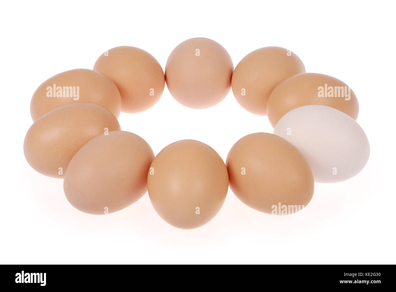 Ten eggs. One egg white. Isolated on a white background. Clipping path ...