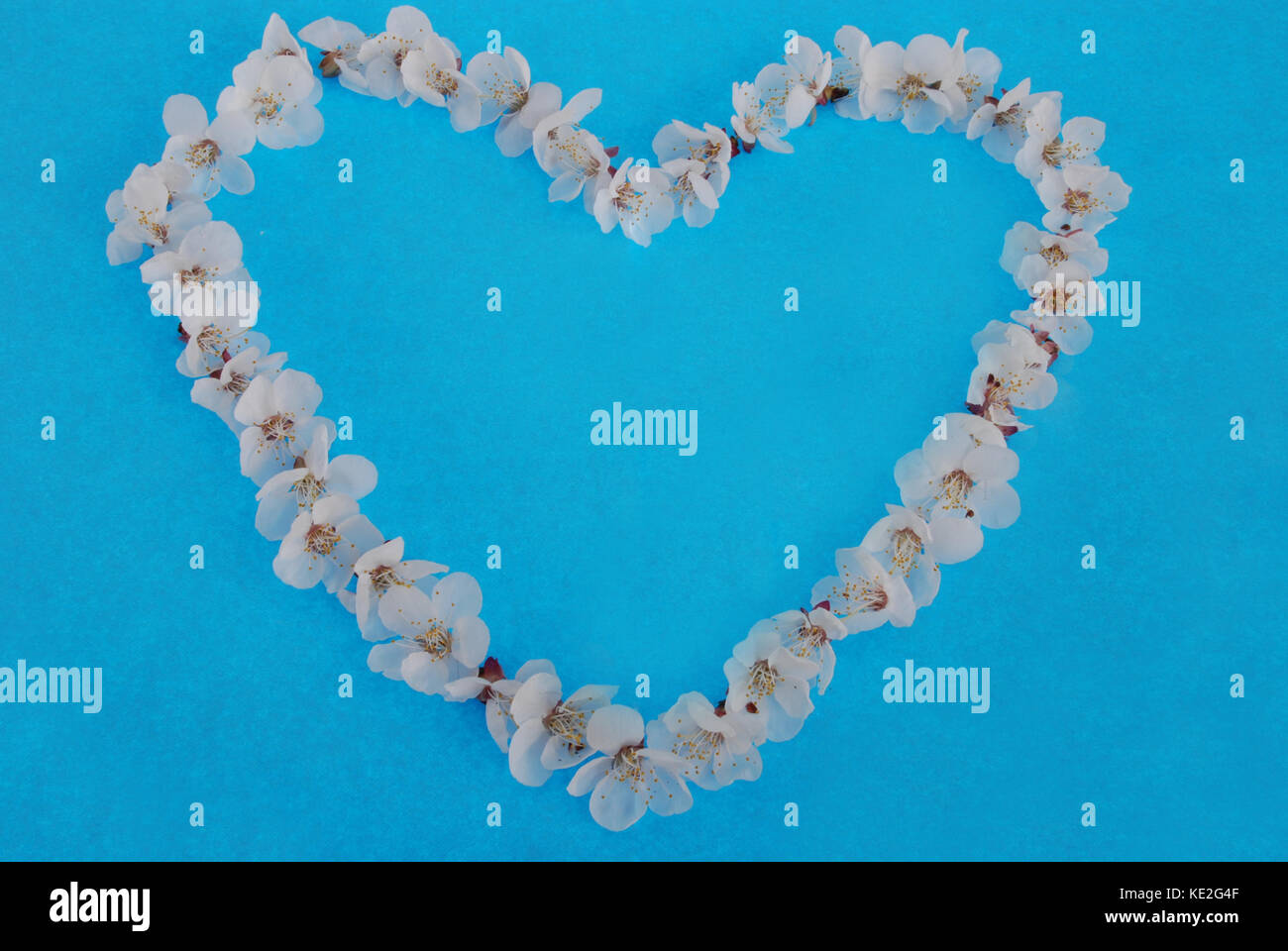 Heart made of flowers. On blue background Stock Photo - Alamy