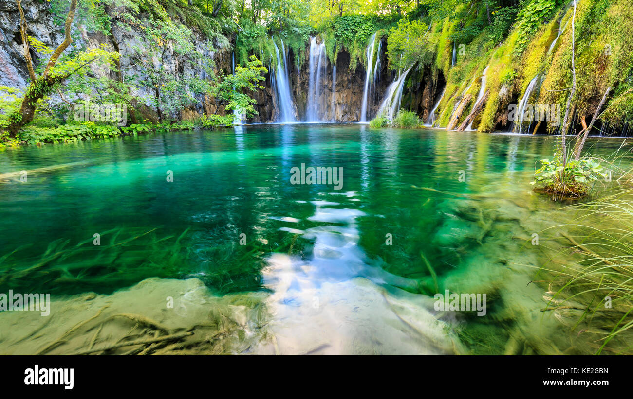 Close up of blue waterfalls in a green forest during daytime in Summer ...