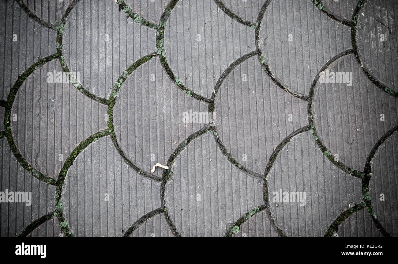 decorative paving tile on the sidewalk. background, texture, pattern ...