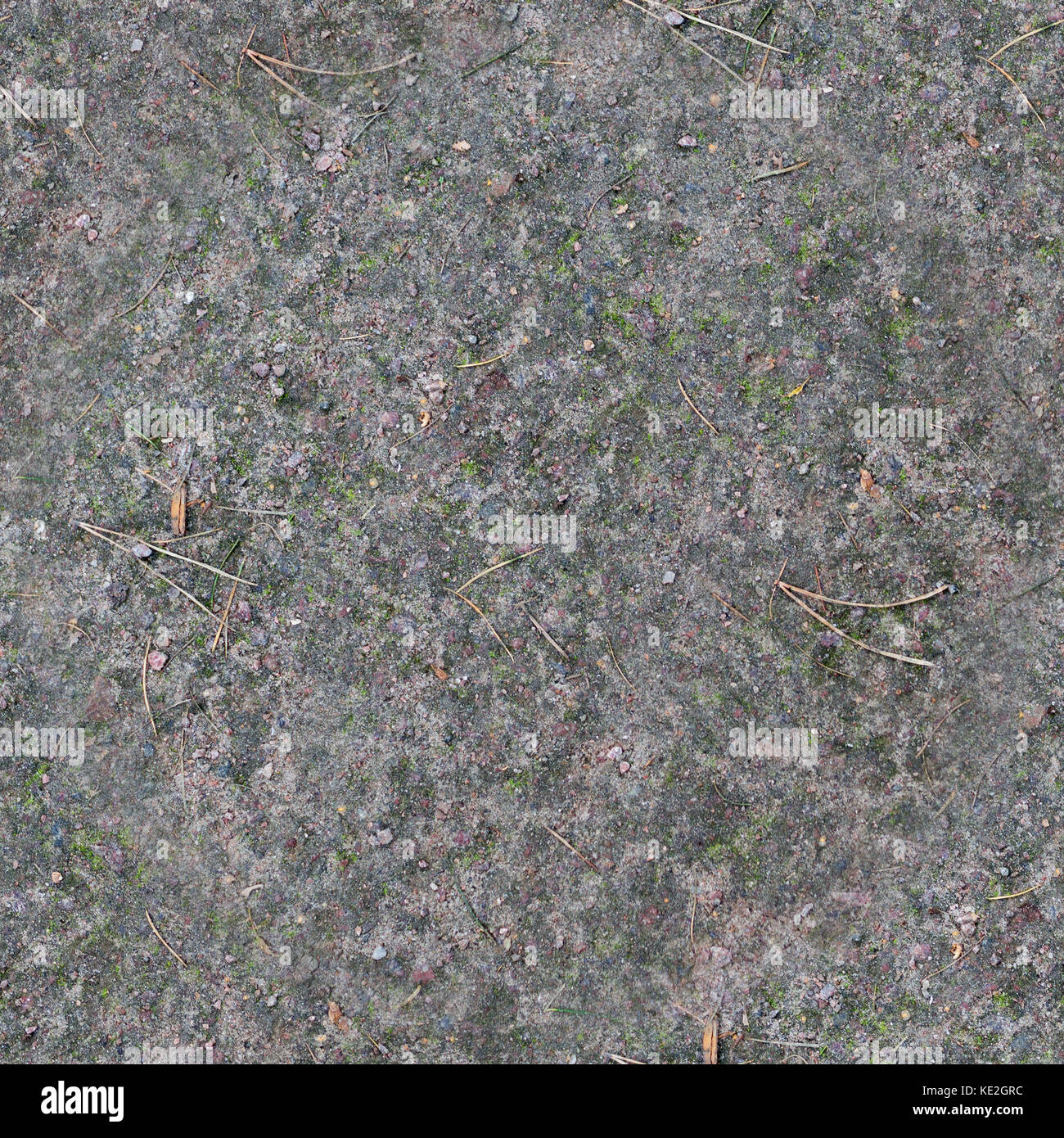 forest ground texture with some moss. background Stock Photo - Alamy