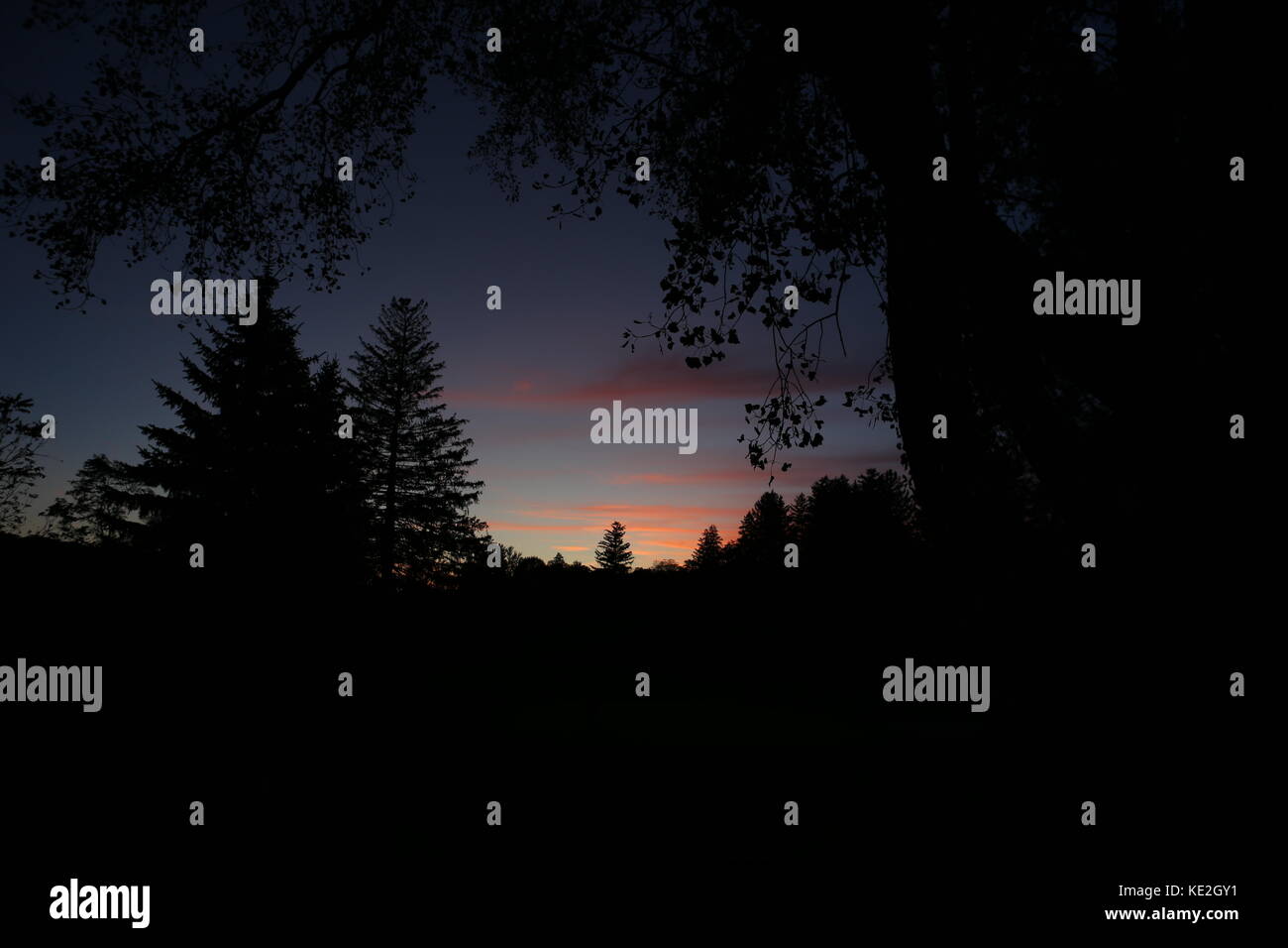 Springbank Park High Resolution Stock Photography and Images - Alamy