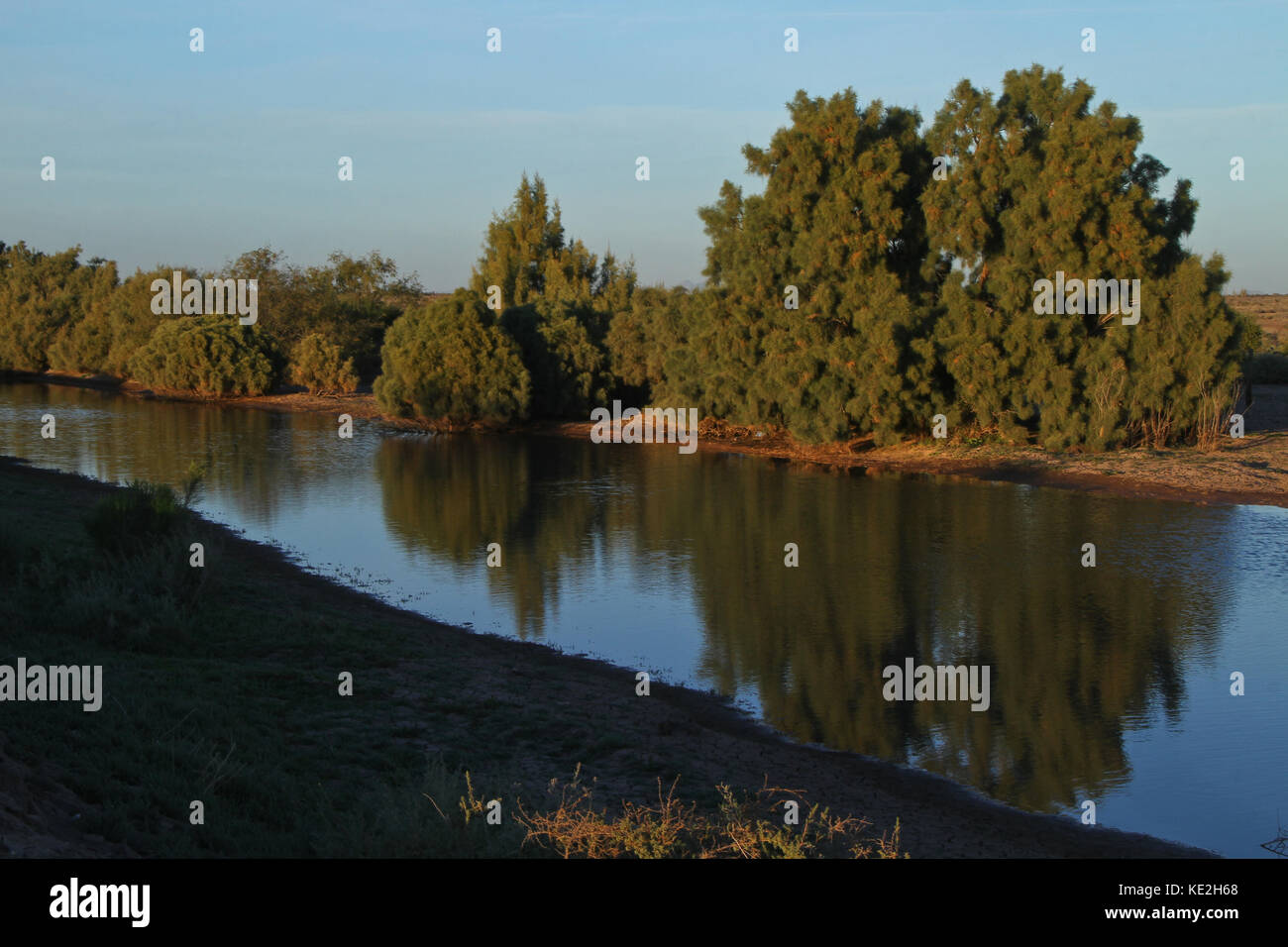 Pond water in the desert of San Nicolas, use: cultivation of marine ...