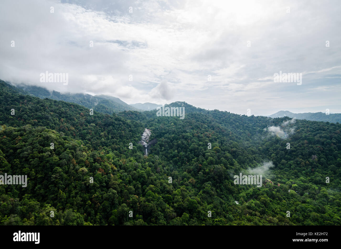 Water waterfall forest levels hi-res stock photography and images - Alamy