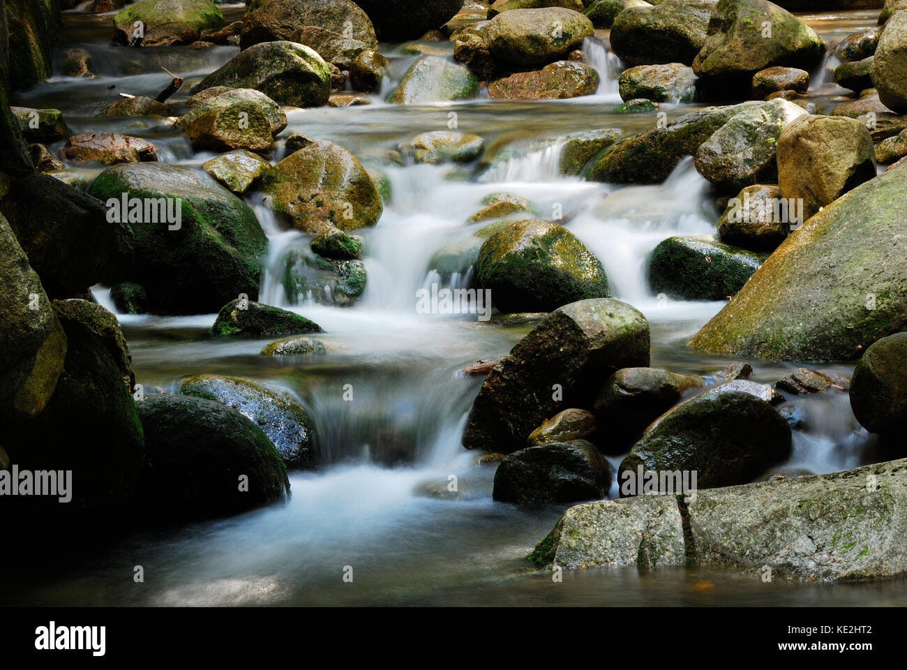nature, beauty, water, life, rest, natural Stock Photo - Alamy