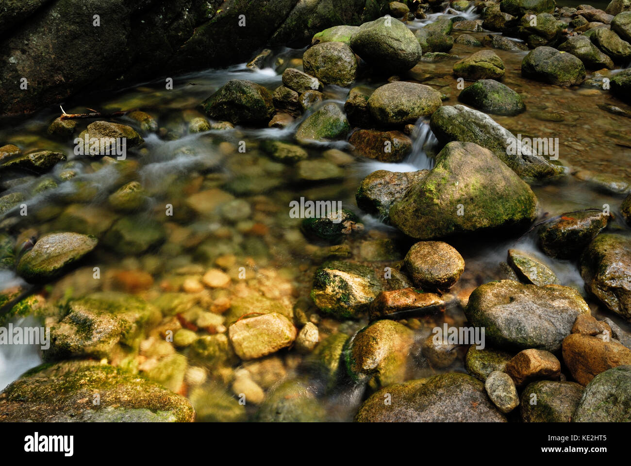 beauty, nature, nature, water, mountain, life, clean, healthy, season ...