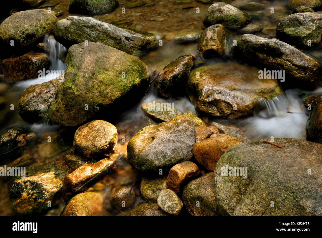 beauty, nature, nature, water, mountain, life, clean, healthy, season ...