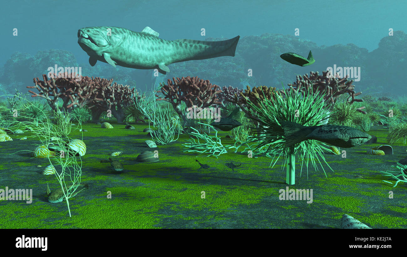 Placoderm hi-res stock photography and images - Alamy