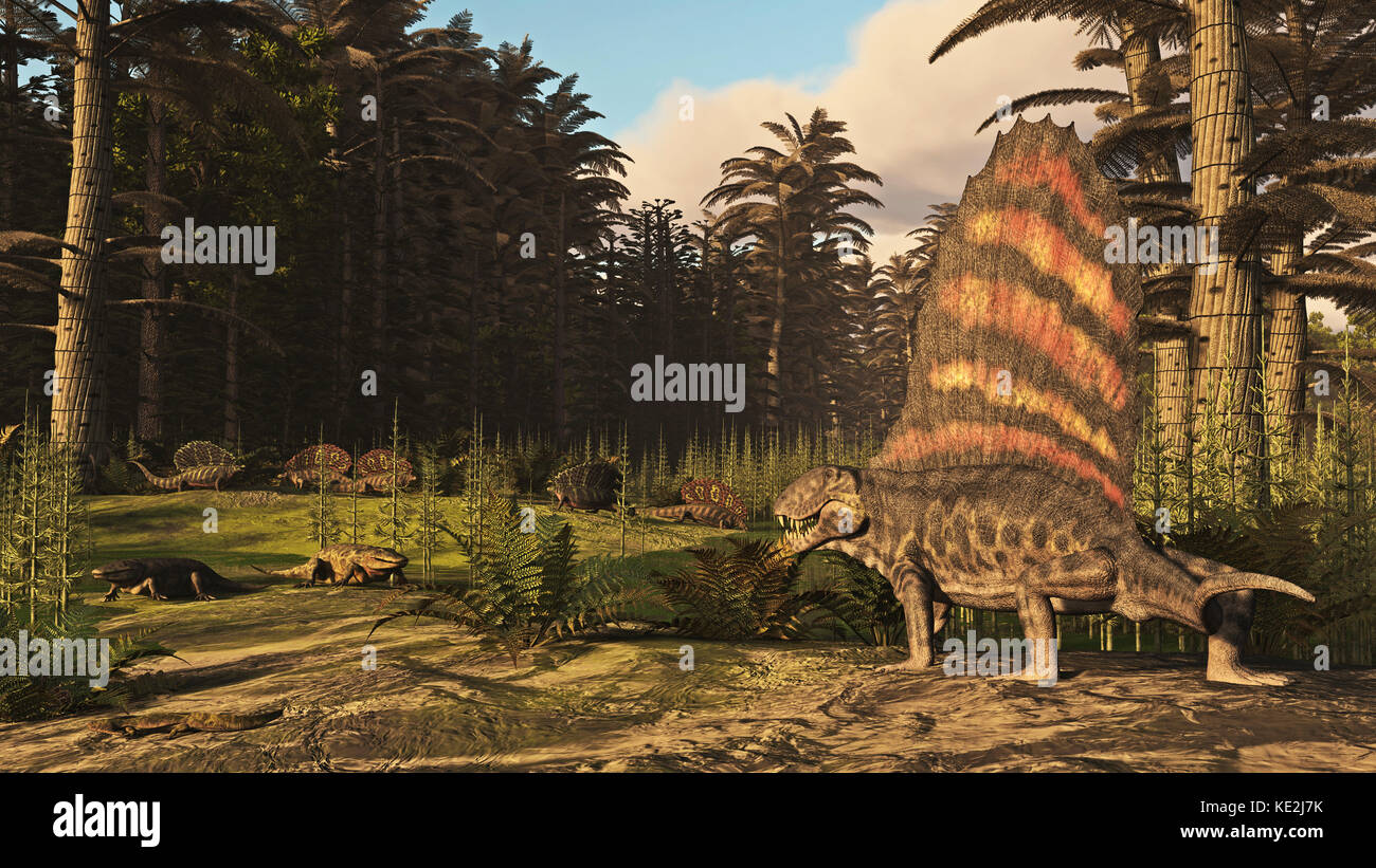 A group of Dimetrodon's hunting in a Permian era environment Stock ...