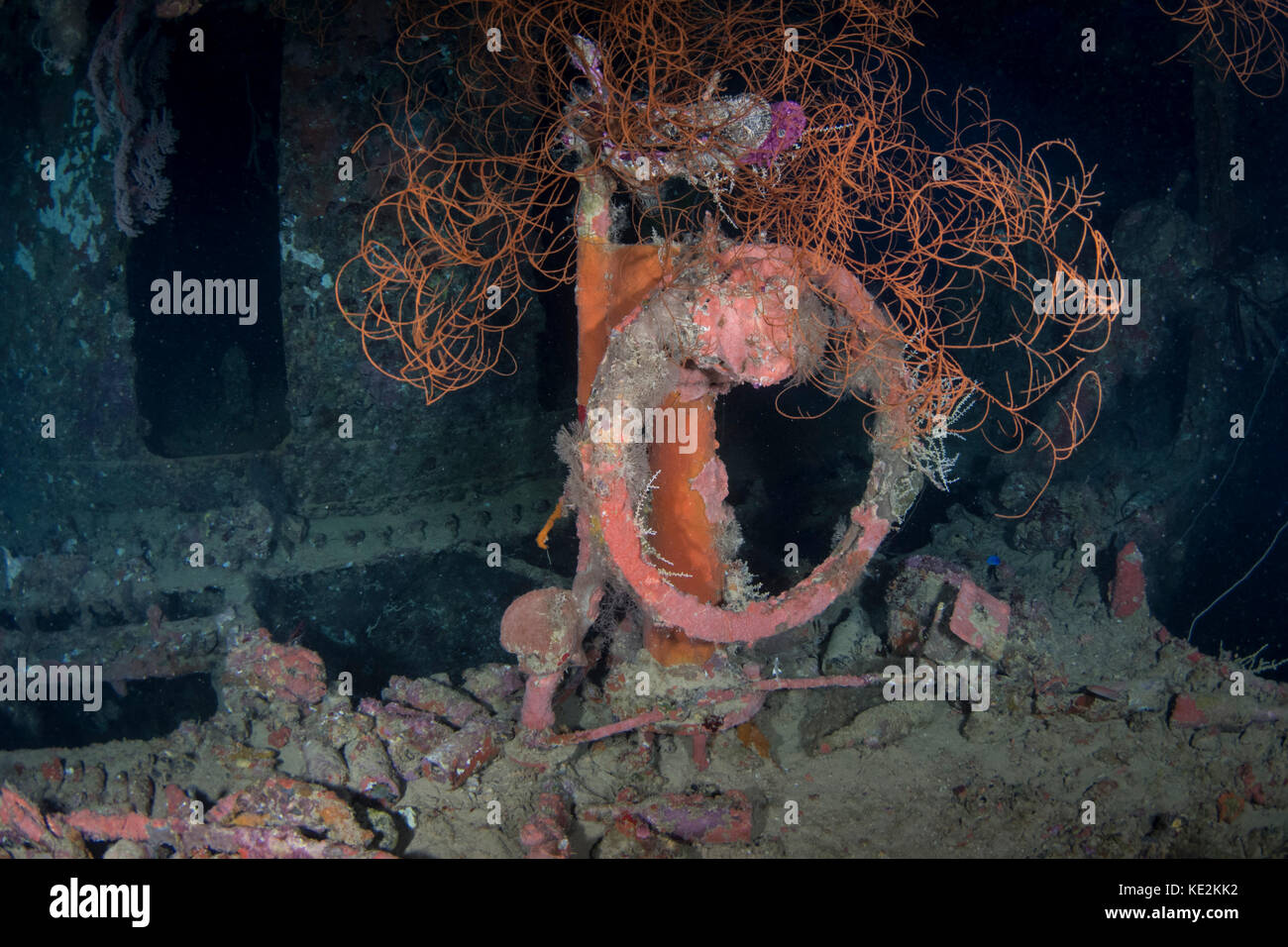 Stern steering station on the Aikoku Maru shipwreck, Truk Lagoon ...