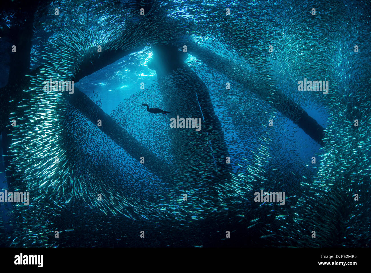 Oil rig and underwater hi-res stock photography and images - Alamy