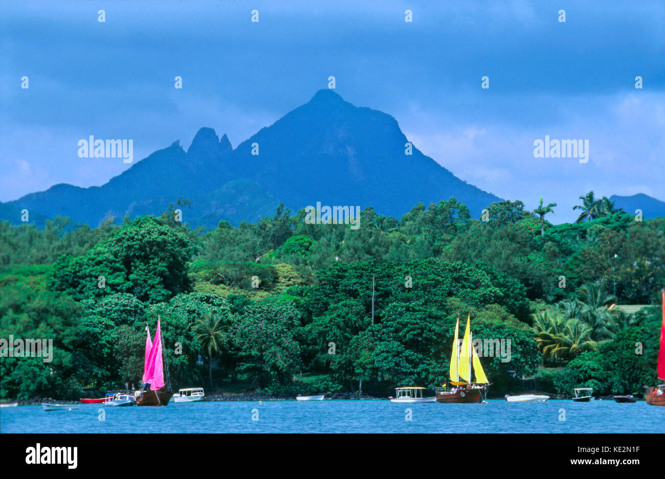 Mountain, forest and sea on Mauritius Stock Photo - Alamy