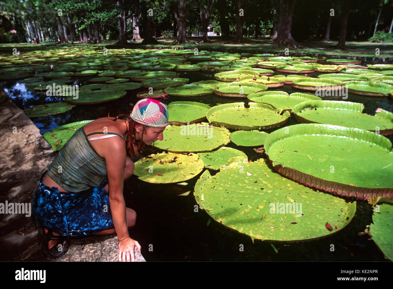 Mauritius National Botanical Garden Stock Photo - Alamy