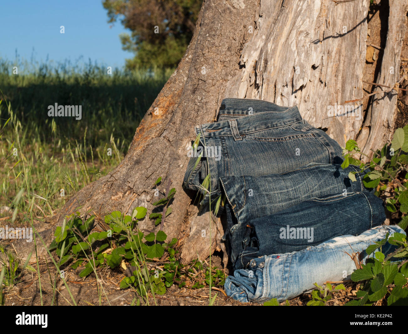 pile of jeans in front of tree trunk Stock Photo - Alamy