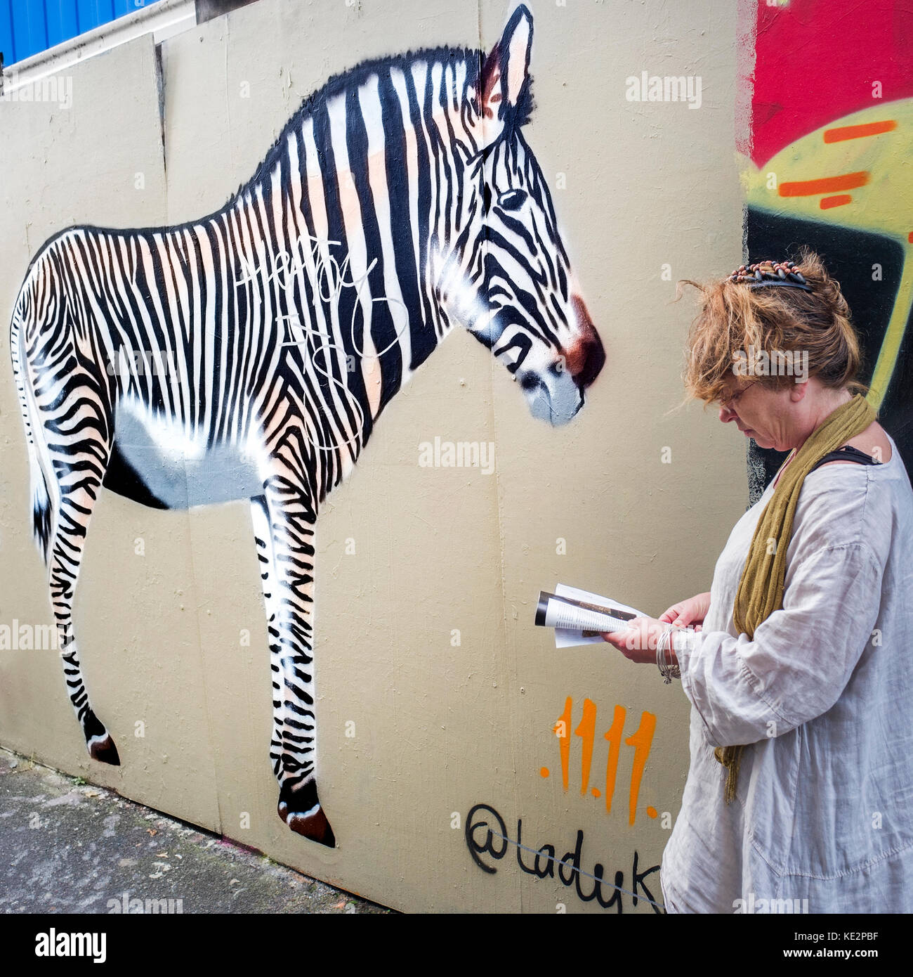 Zebra Reading A Book