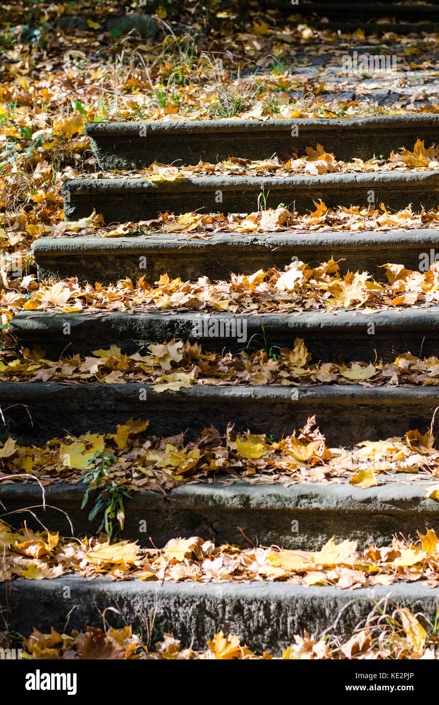 Fall leaf stairs hi-res stock photography and images - Alamy