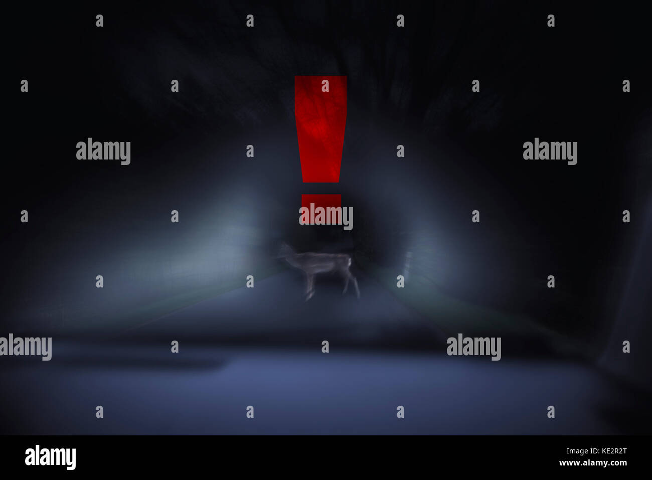 Close up on deer on the street at night, danger sign, motion blur Stock ...