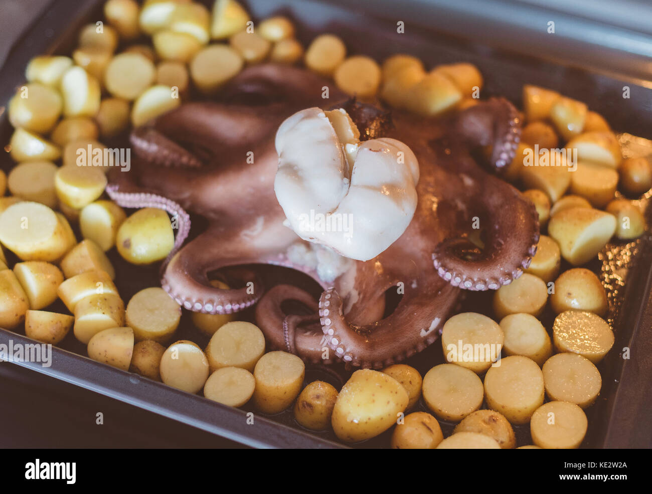 Preparation of an octopus in oven Stock Photo - Alamy