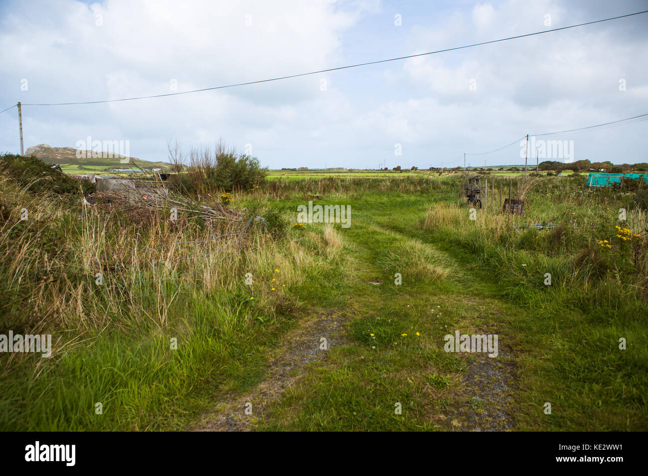 Welsh country lanes hi-res stock photography and images - Alamy
