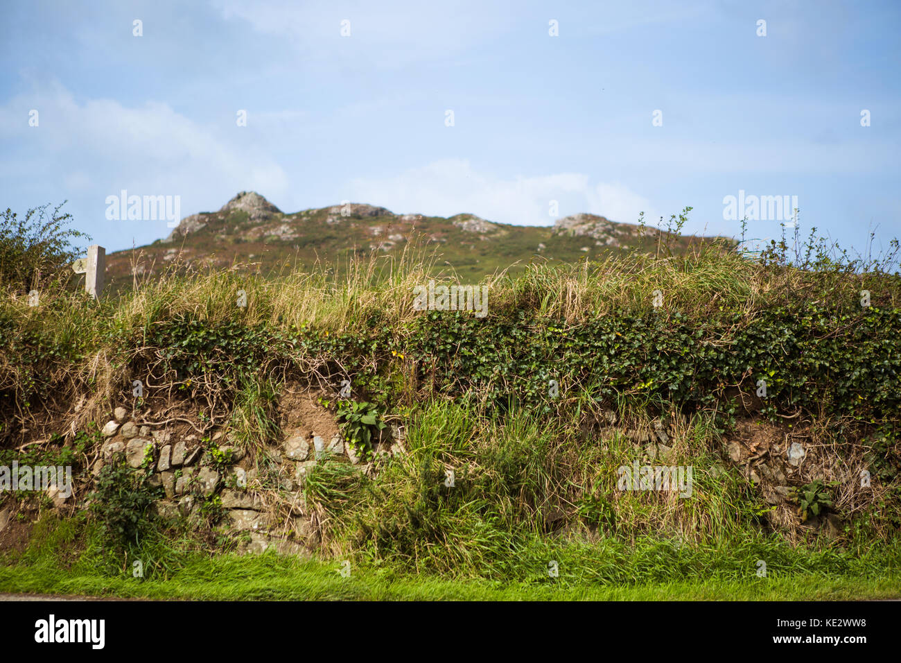 welsh countryside in summer Stock Photo - Alamy