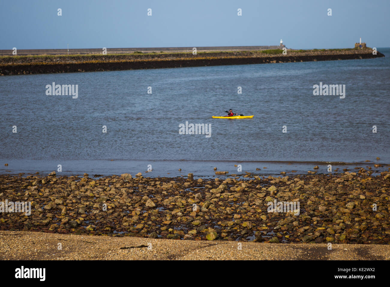Canoeist in Estuary Stock Photo - Alamy