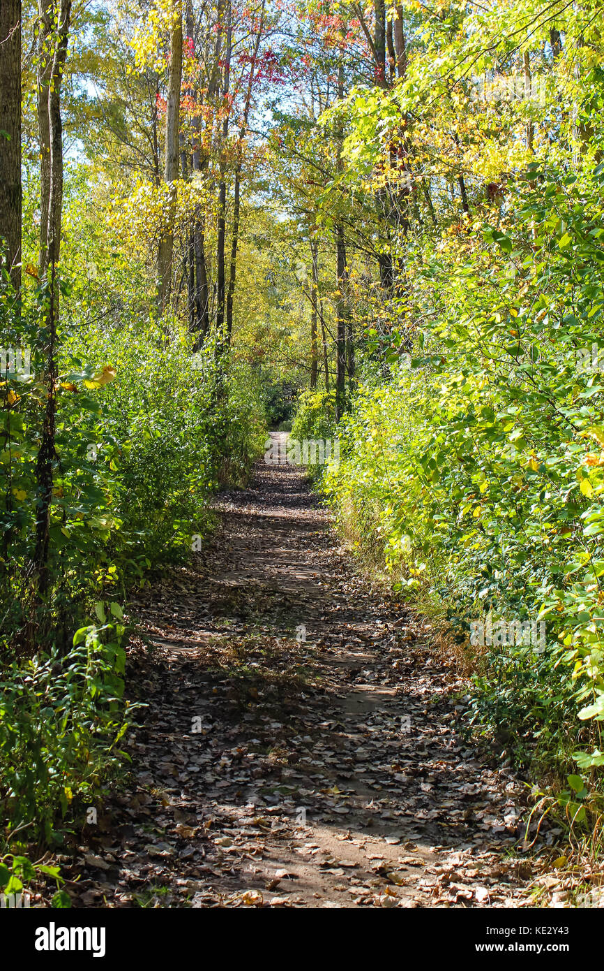 Fall colors in parks hi-res stock photography and images - Alamy