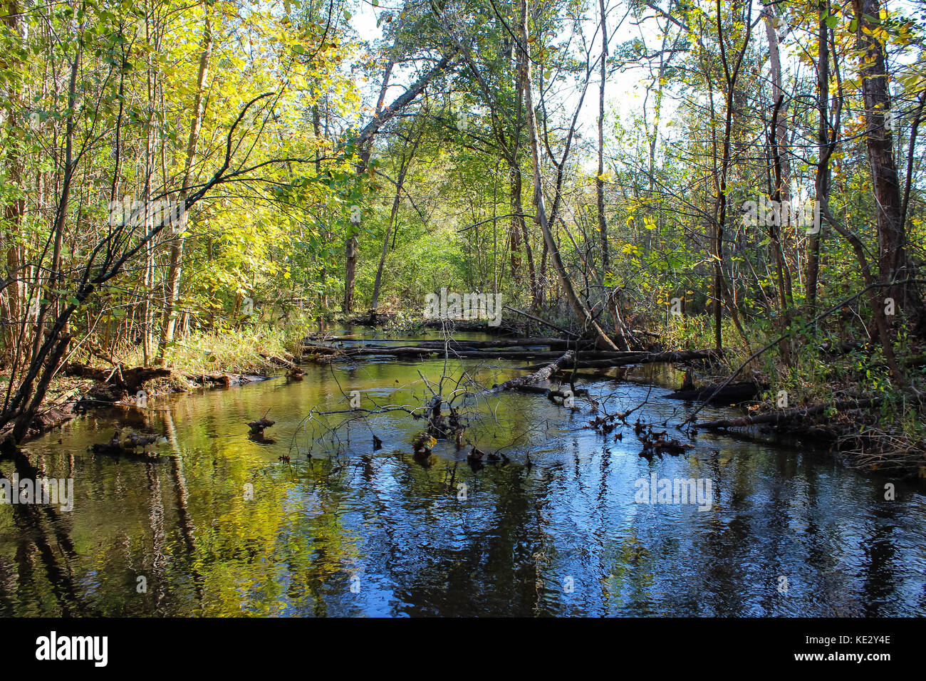 A beautiful scenic overlook in Michigan on a lake in the Autumn month ...