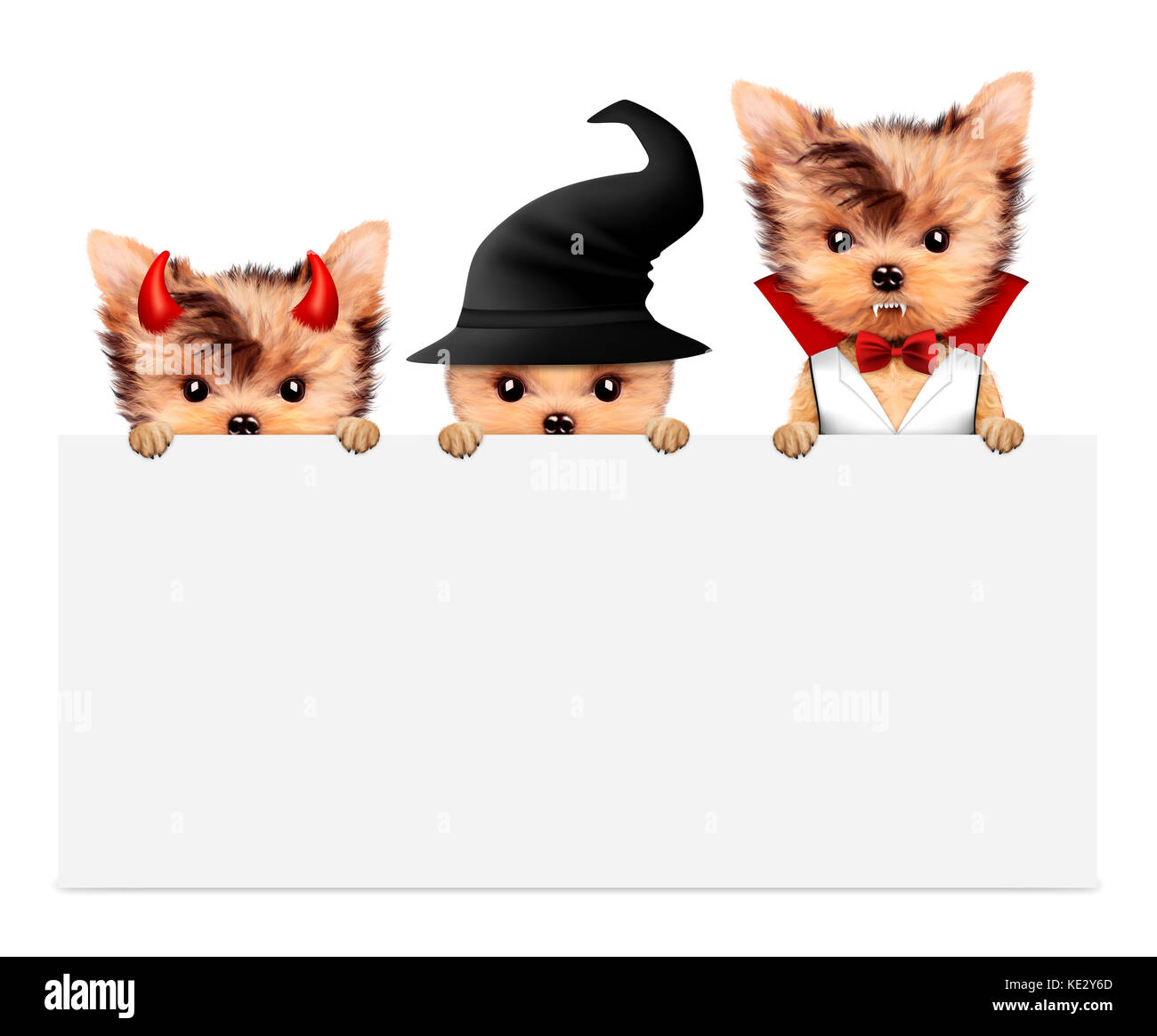 Dracula, devil and witch. Halloween and Dead day Stock Photo - Alamy