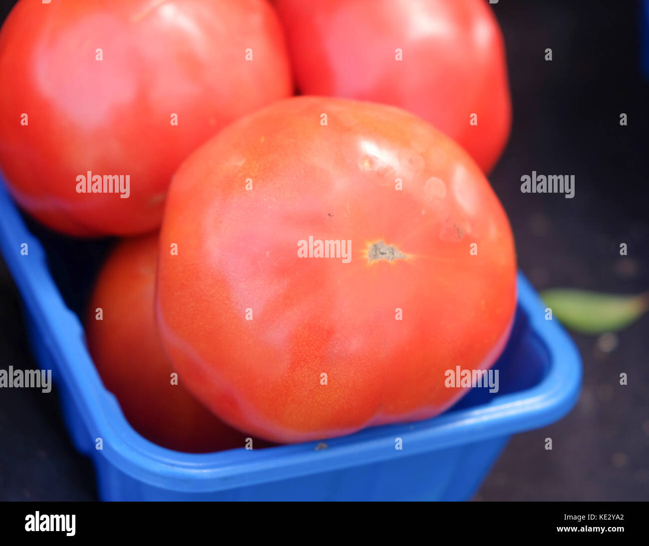 Delicious red heirloom tomatoes at farmers market in Lake Mary, Florida ...