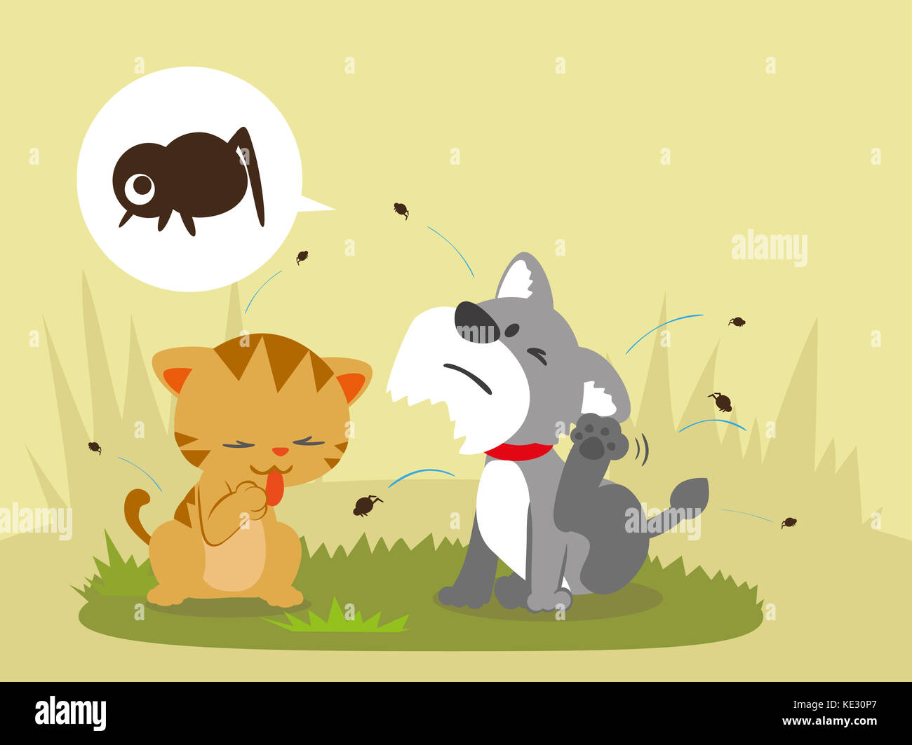 Pet animals infected by parasites Stock Photo - Alamy