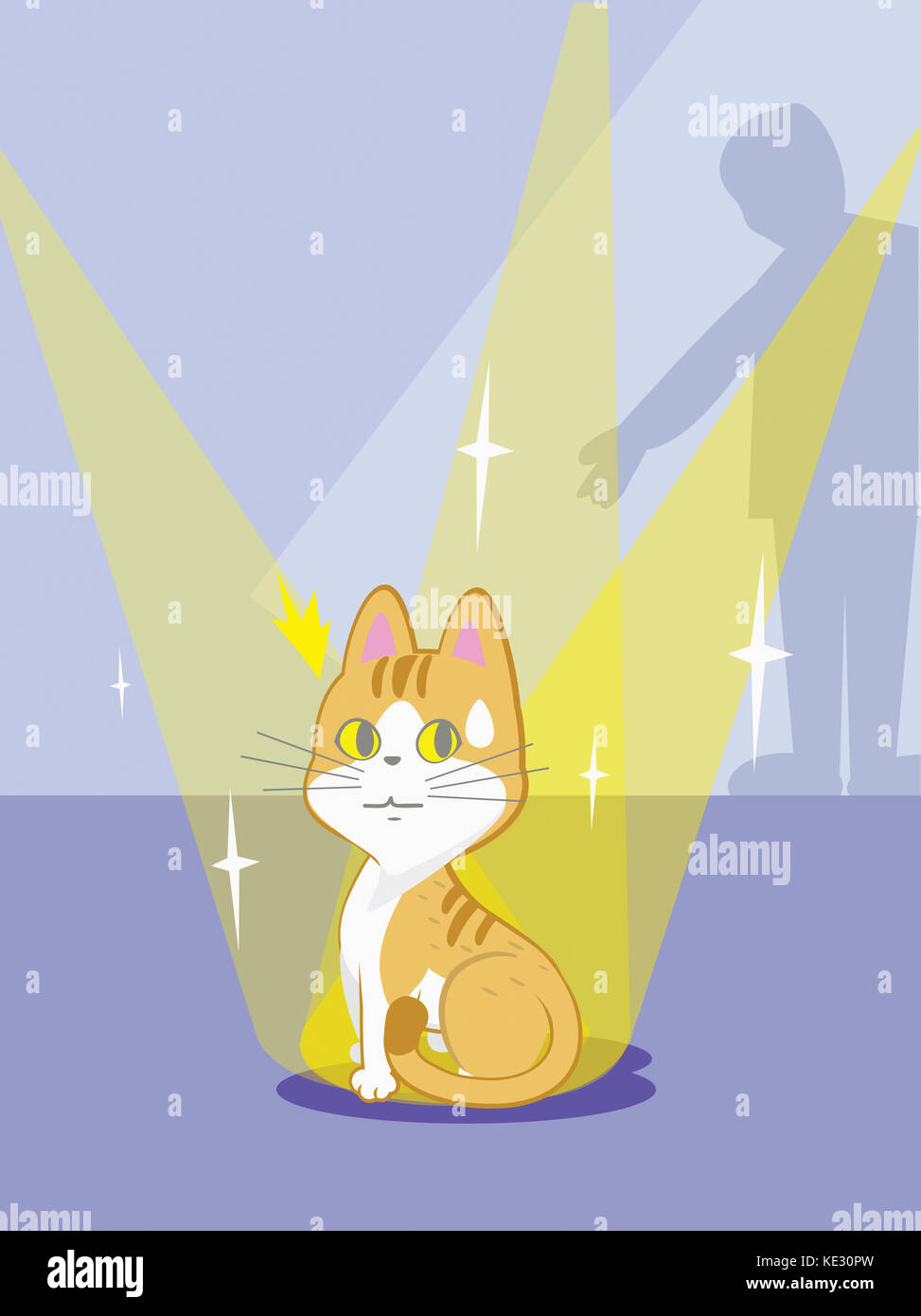 Cute pet cat under spotlights Stock Photo - Alamy