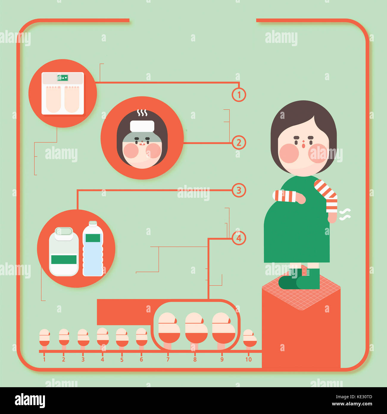Infographic illustration representing stage of pregnancy Stock Photo ...