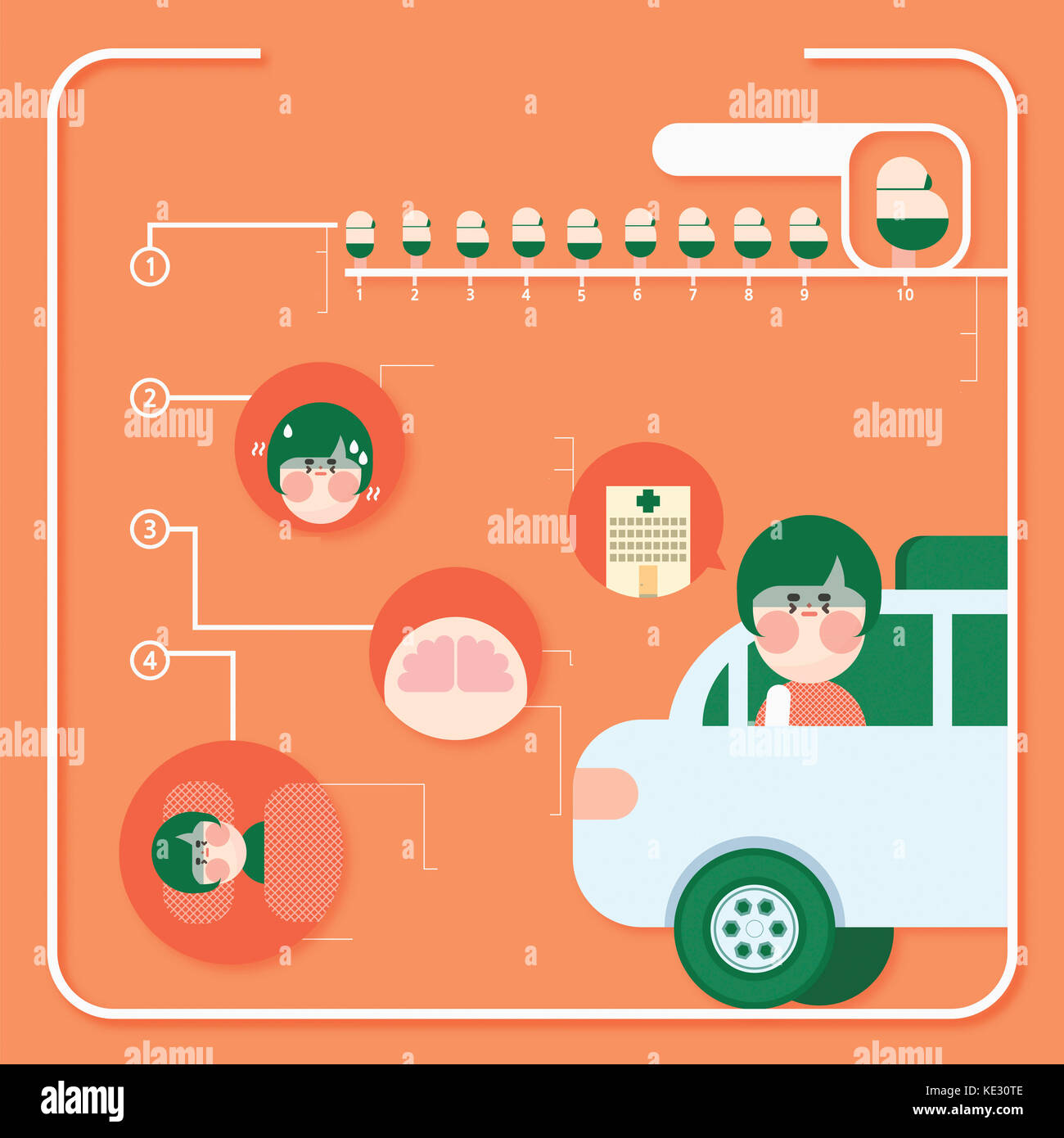Infographic illustration representing stage of pregnancy Stock Photo ...