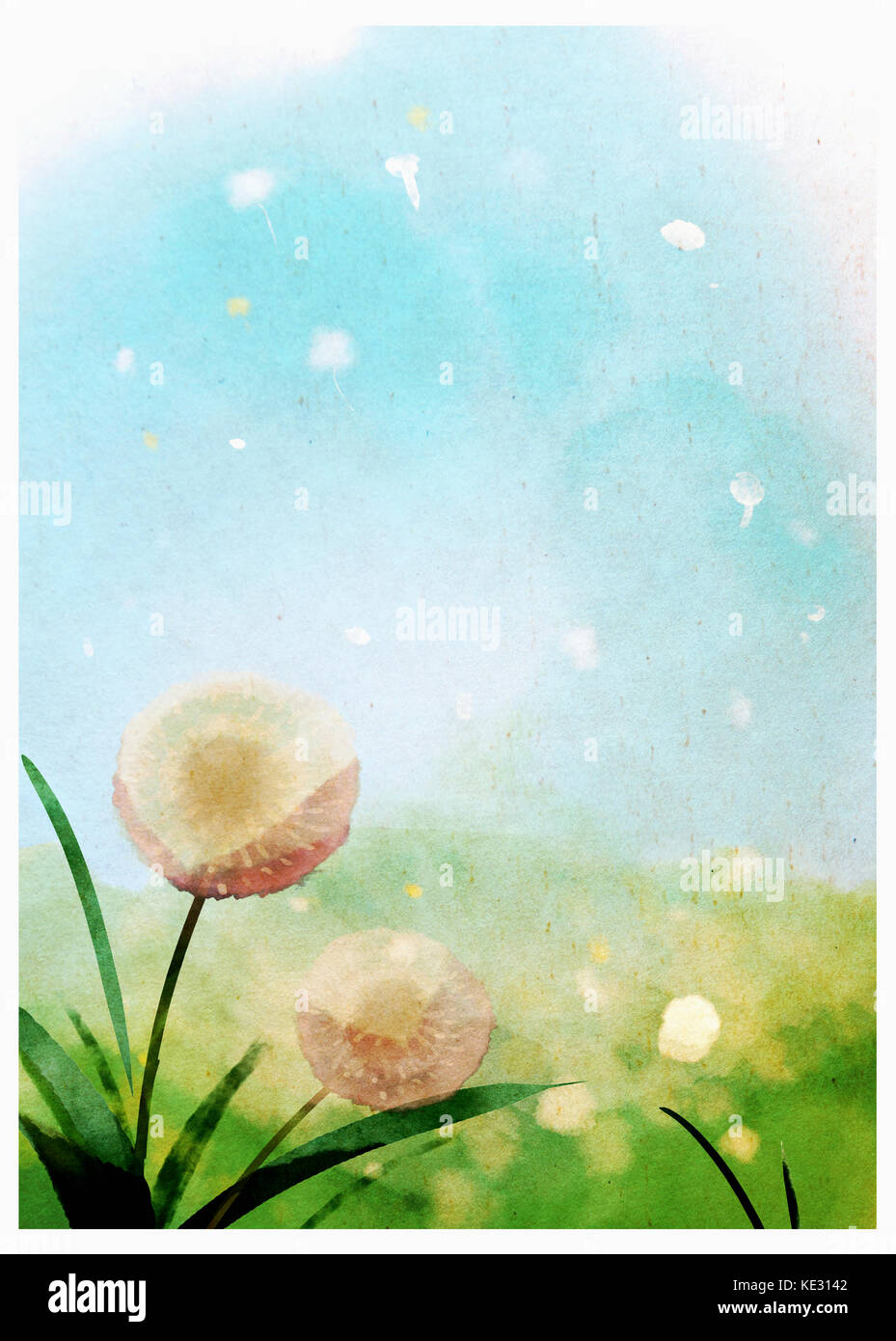 Background of spring with dandelion spores Stock Photo - Alamy