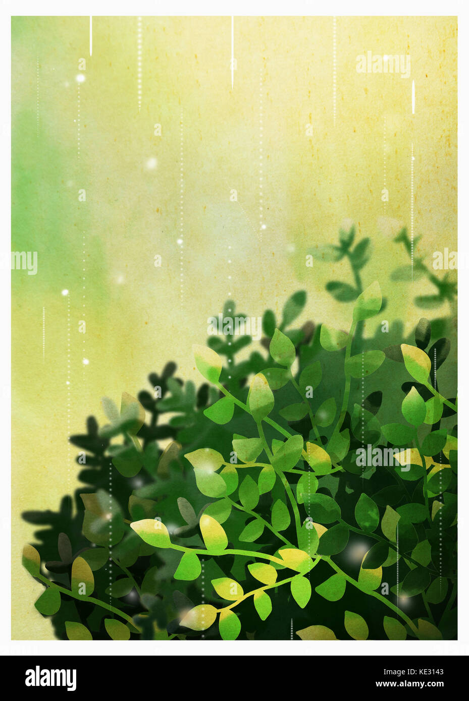 Background of spring with raindrops falling down on green leaves Stock ...