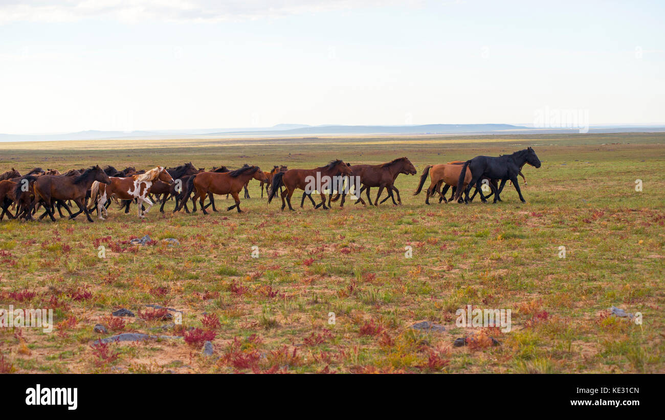 Rodna mountain hi-res stock photography and images - Alamy