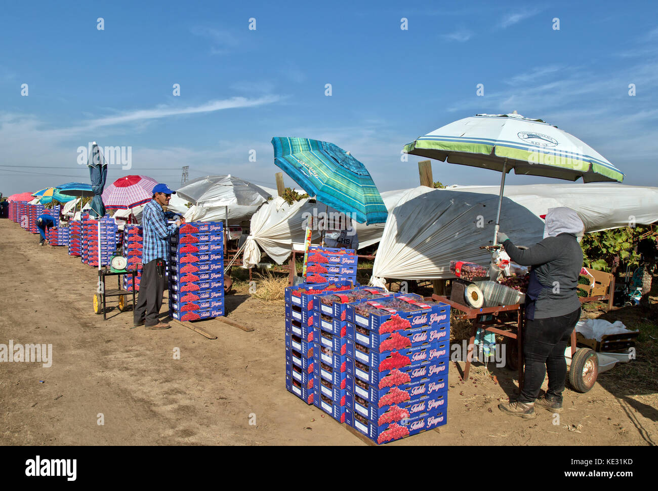 Field man boxes High Resolution Stock Photography and Images - Alamy