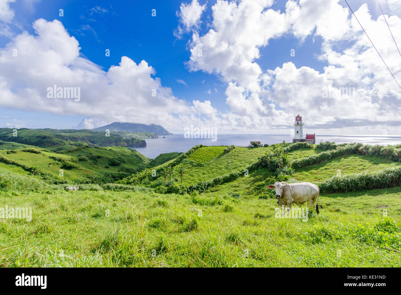 Mahatao Hilll at Batan Island , Batanes, Philippines Stock Photo - Alamy