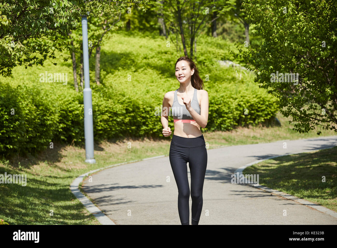 The bra tree hi-res stock photography and images - Alamy