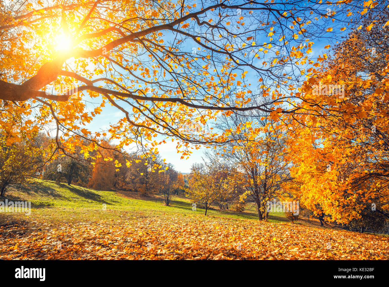 Sun sunny countryside hi-res stock photography and images - Alamy