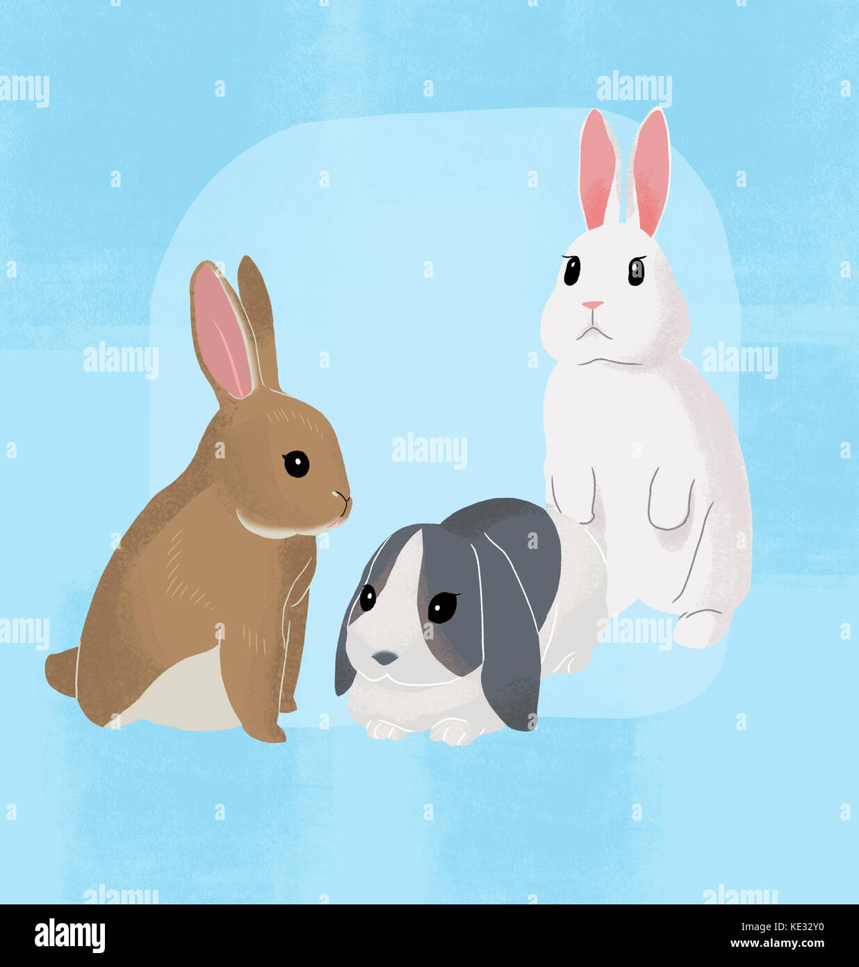 Three wild rabbits Stock Photo - Alamy