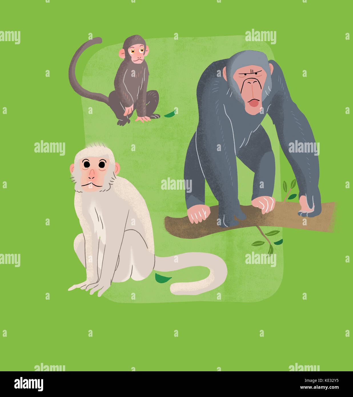 Vintage illustration psd hi-res stock photography and images - Alamy