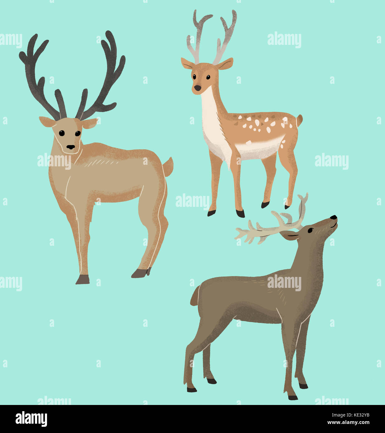 Three cute animals such as deer and reindeer Stock Photo - Alamy