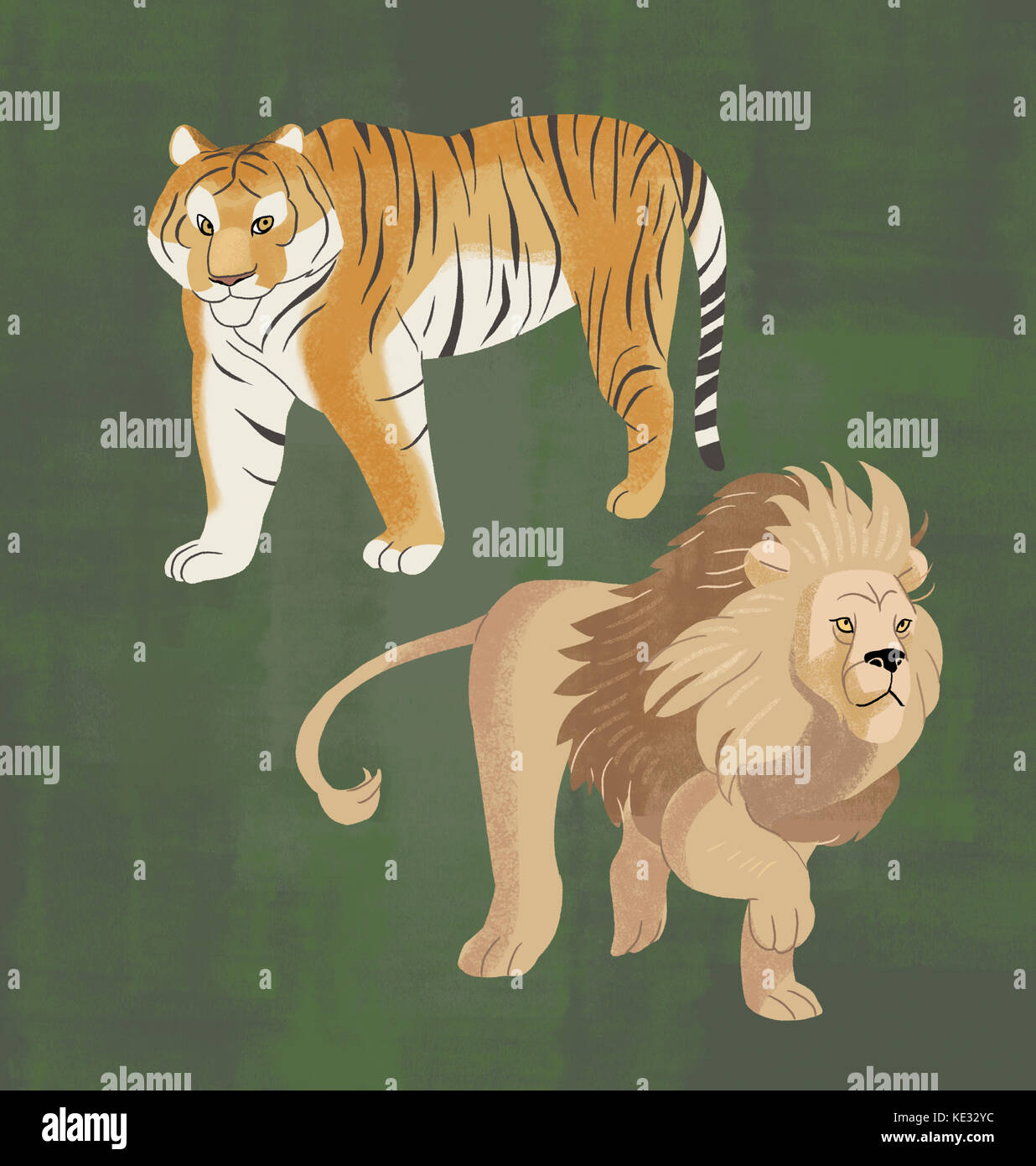 Tiger and lion Stock Photo - Alamy