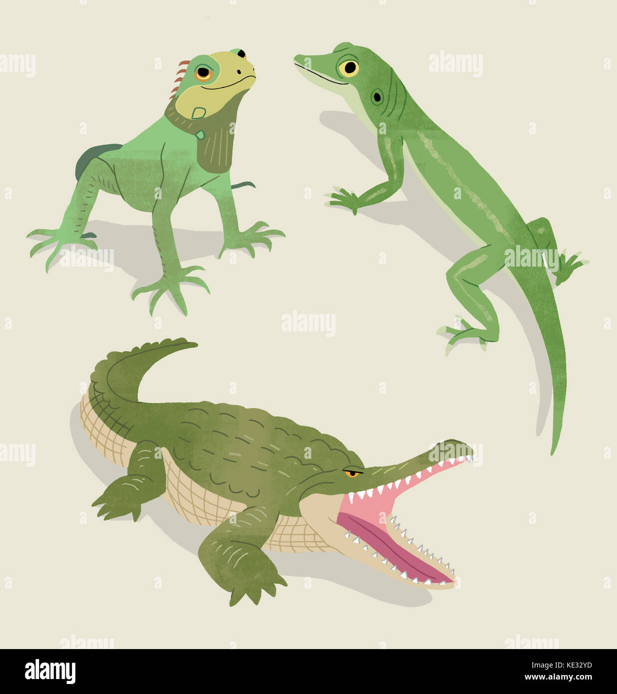 Lizard opening mouth hi-res stock photography and images - Alamy