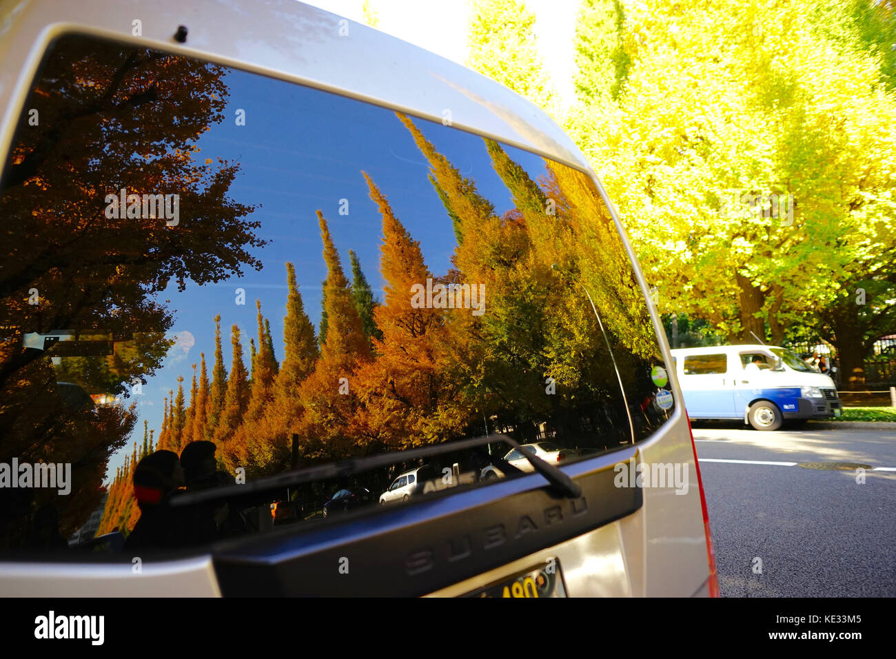 Colored Ginkgo reflected in Car Window Stock Photo - Alamy