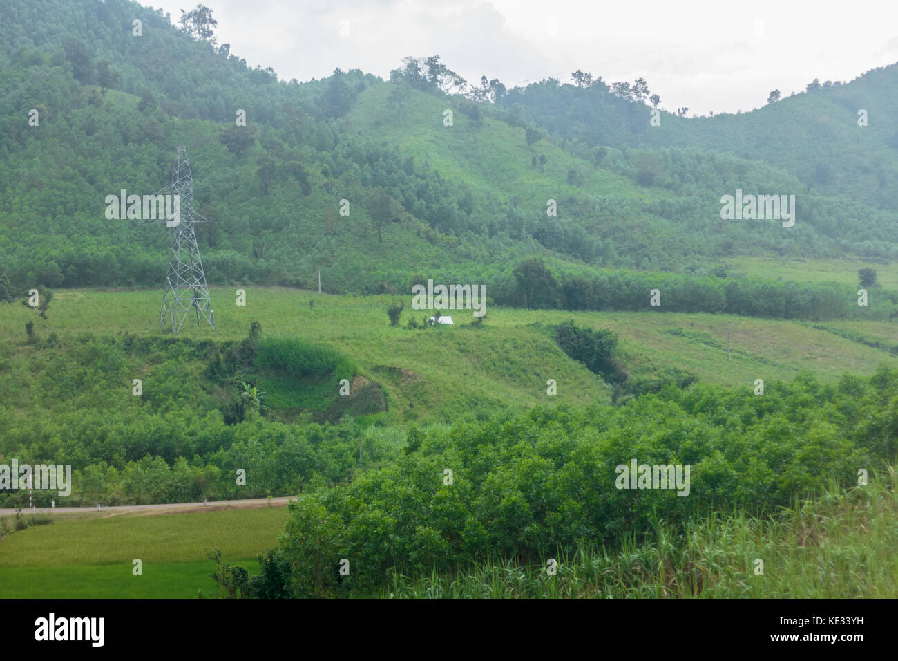 Low Lying Plants High Resolution Stock Photography and Images - Alamy