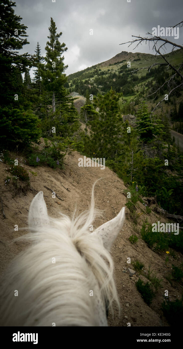 in the South Chilcotin Mountain Park, BC, Canada Stock Photo - Alamy
