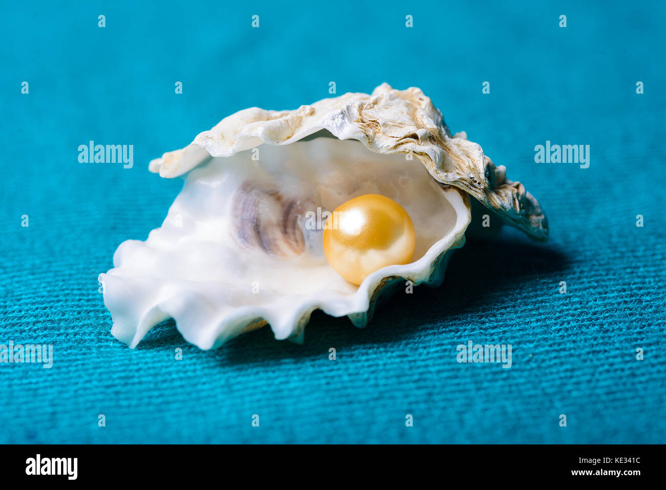 Pearl in the shell hi-res stock photography and images - Alamy