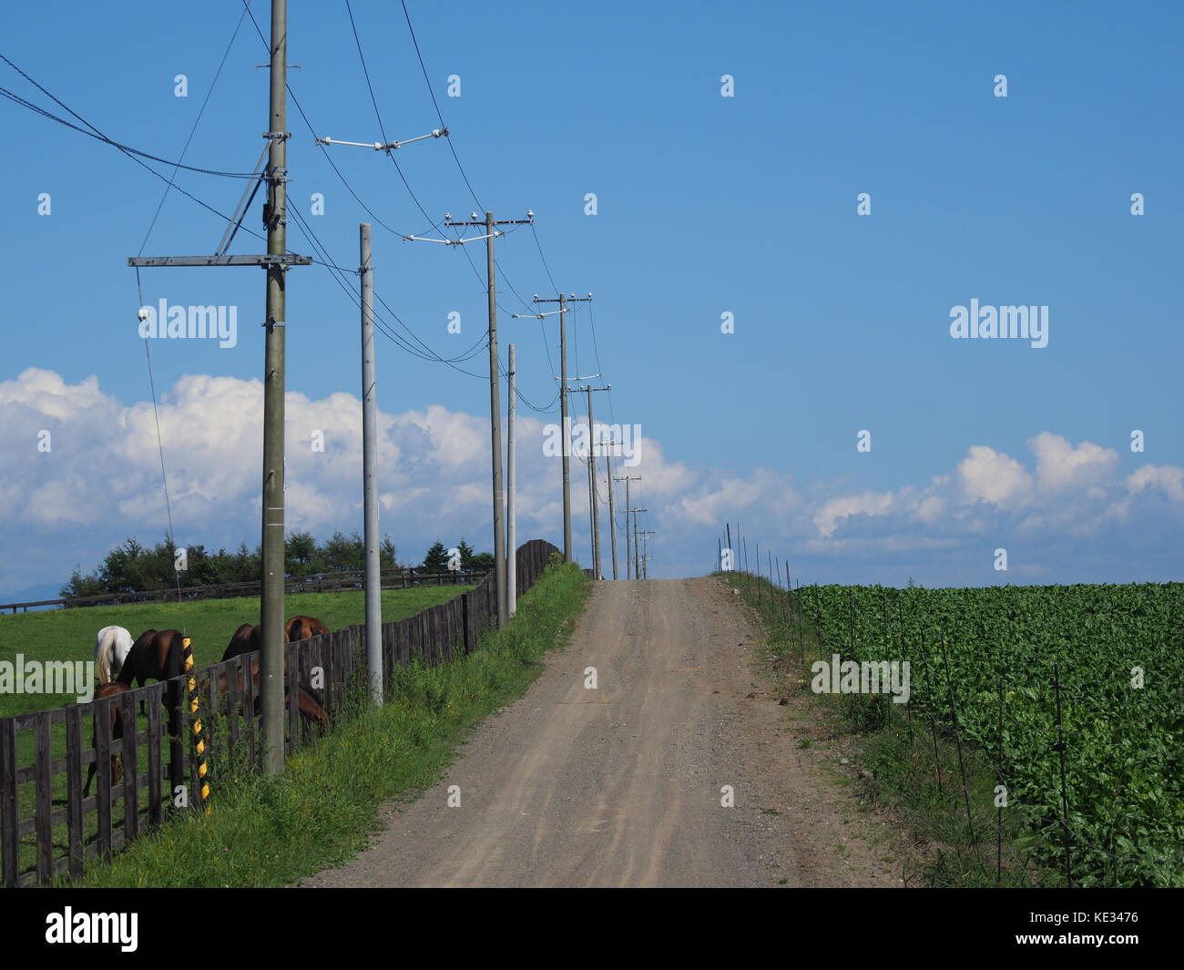 Utility Pole Japan Stock Photos & Utility Pole Japan Stock Images - Alamy